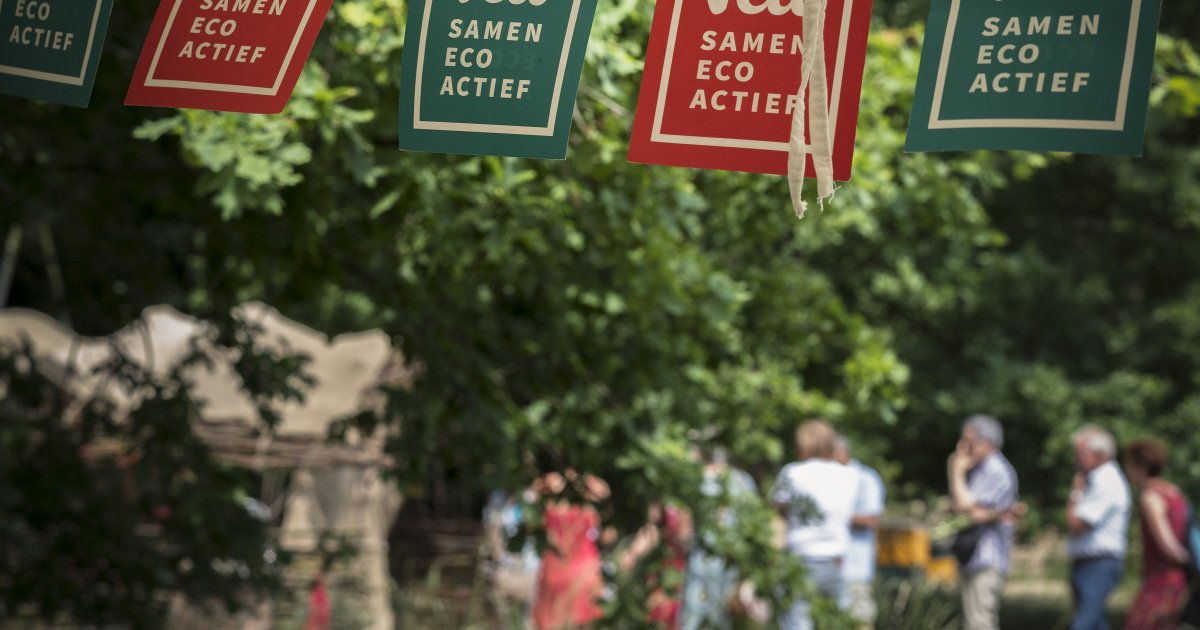 Workshop op maat | Velt