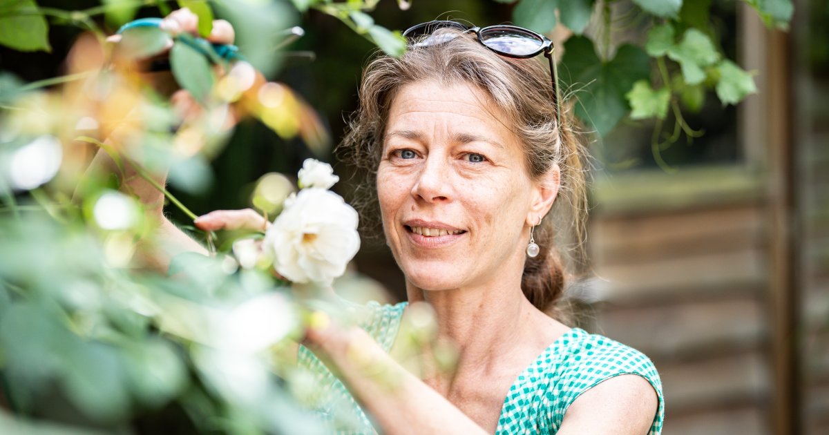 Doe inspiratie op tijdens de Velt-ecotuindagen | Velt