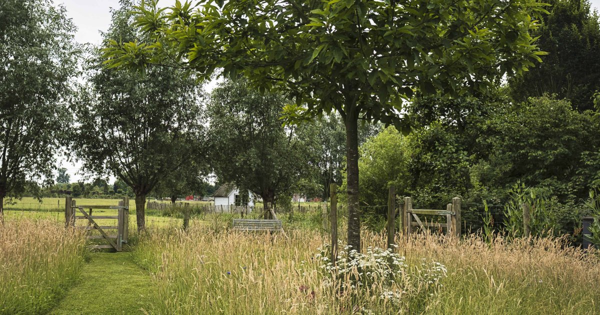 Alles over gras | Velt