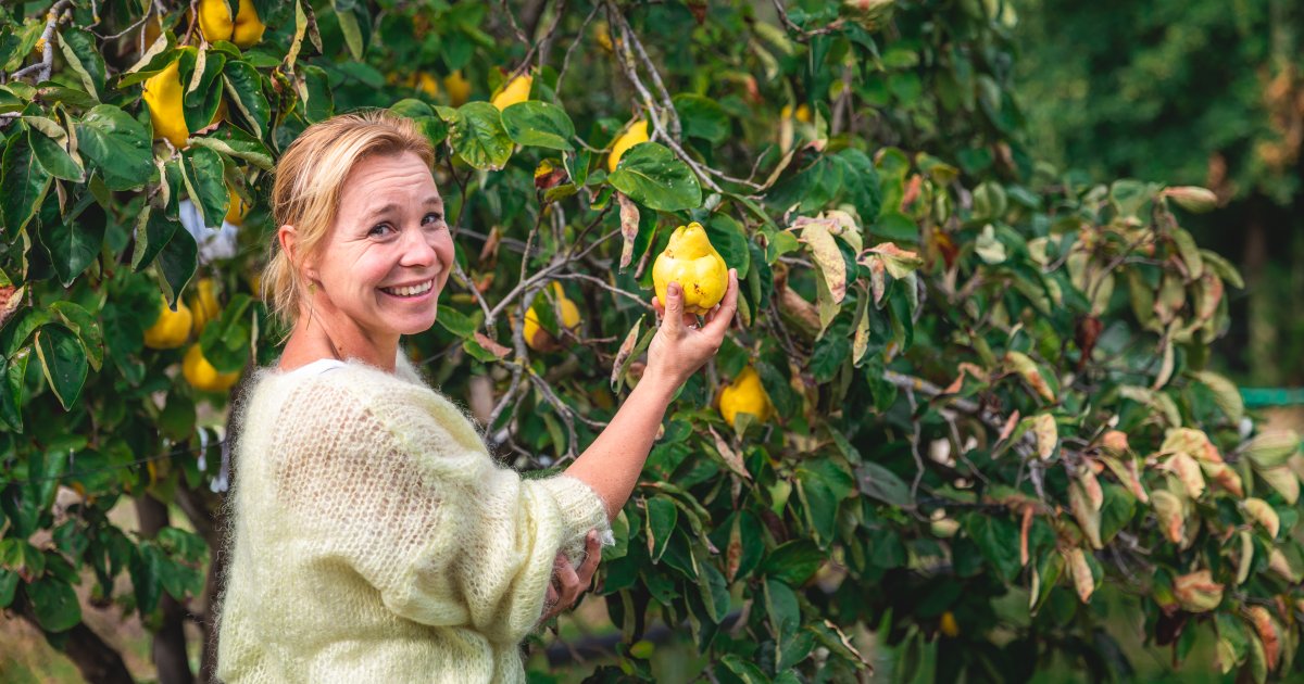 Op bezoek in de ecotuin van Brenda Froyen | Velt