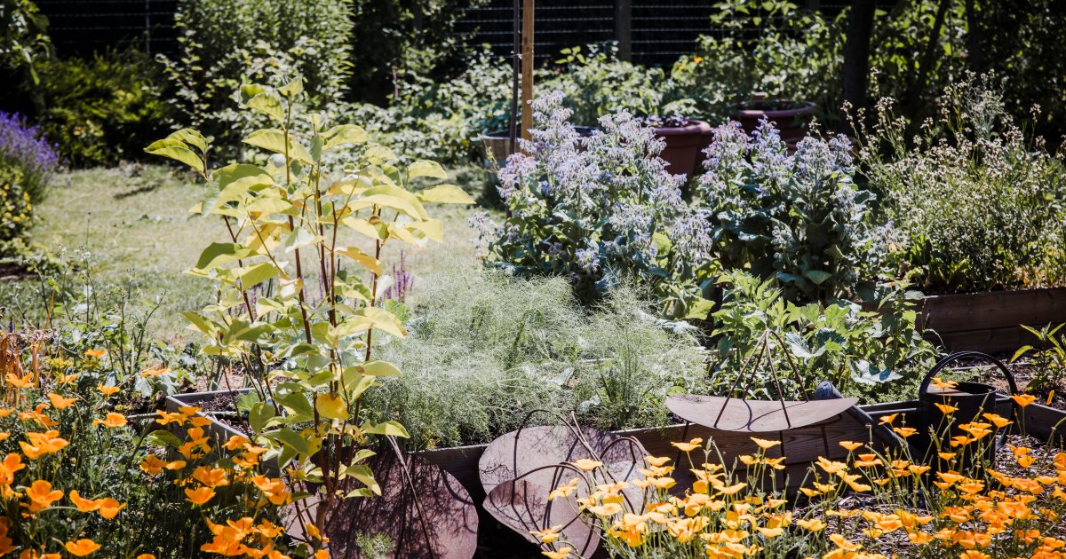 Le Jardin indépendant | Velt