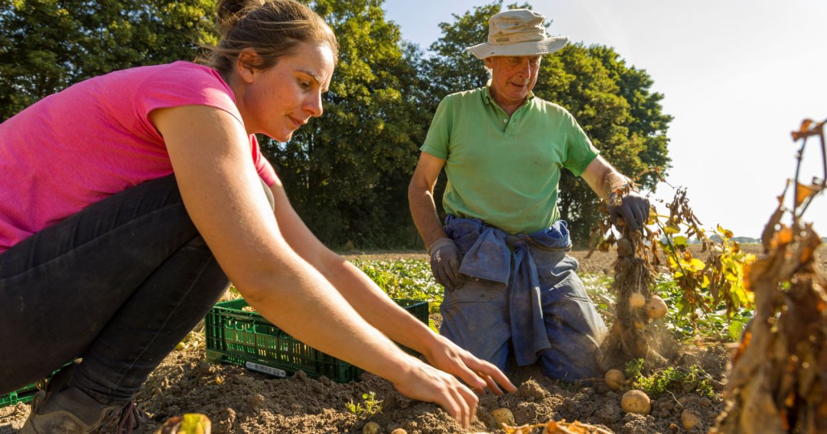 Pootgoed van Sevilla | Velt