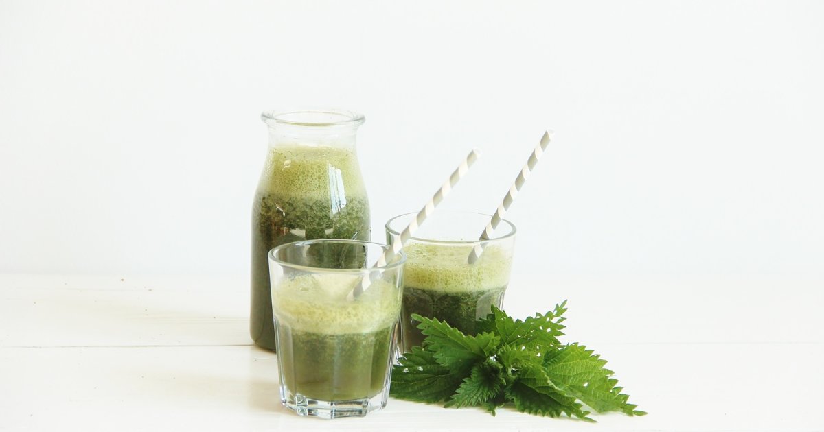 Brandnetelsmoothie | Velt