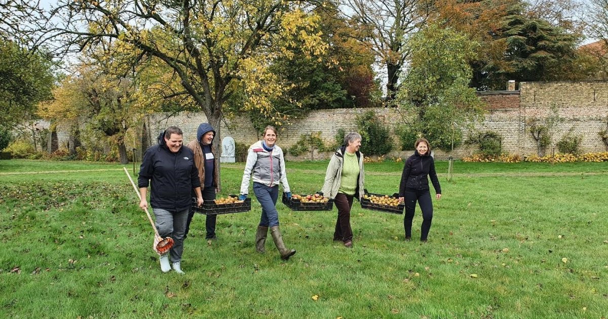 Ontmoetingsdag Eetbare buurt in Brugge | Velt