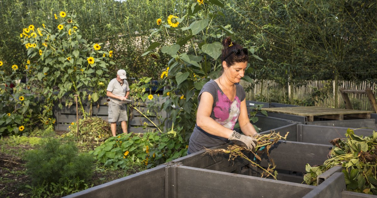 Stappenplan om zelf te leren composteren | Velt