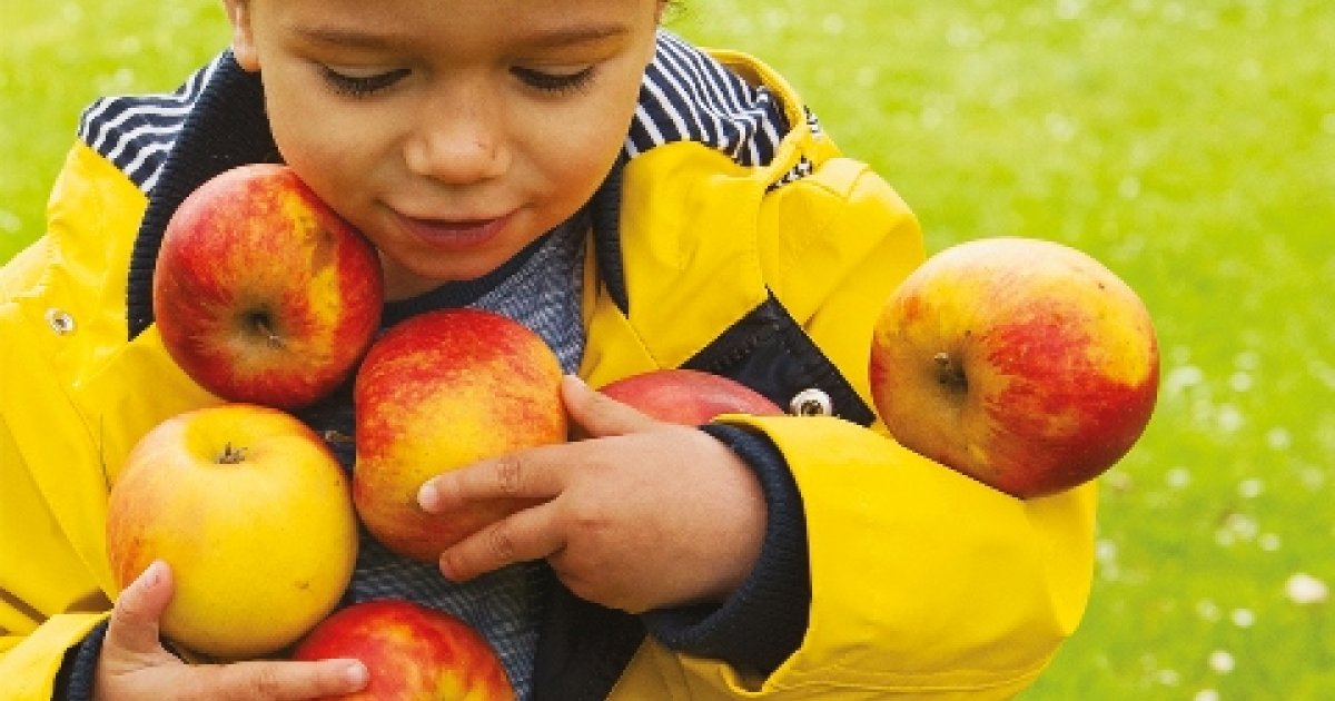 Appel, peer en meer: het nieuwe fruitboek van Velt | Velt
