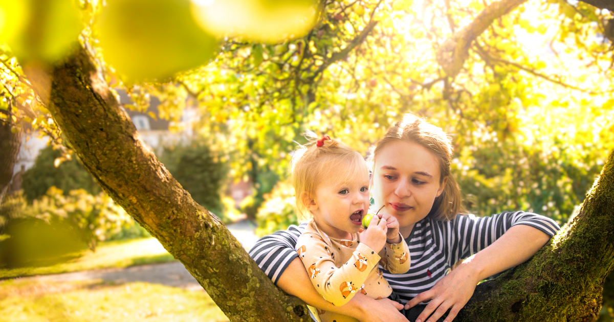 Rijksregisternummer | Velt