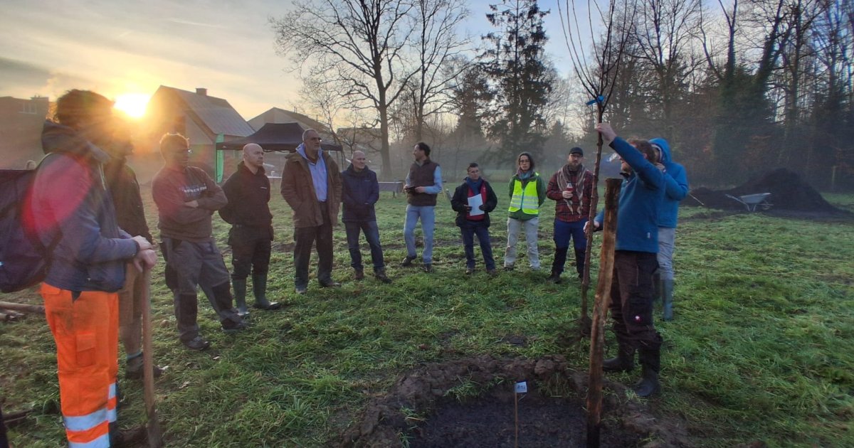 Bos Beiaard schiet wortel | Velt