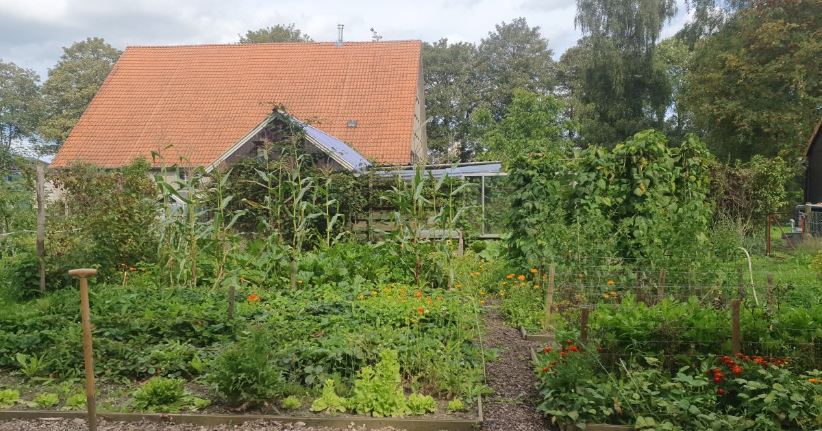 Radicula - ecologische moestuin | Velt