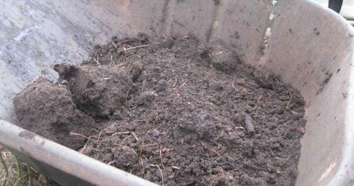 Hoe gebruik je compost? | Velt