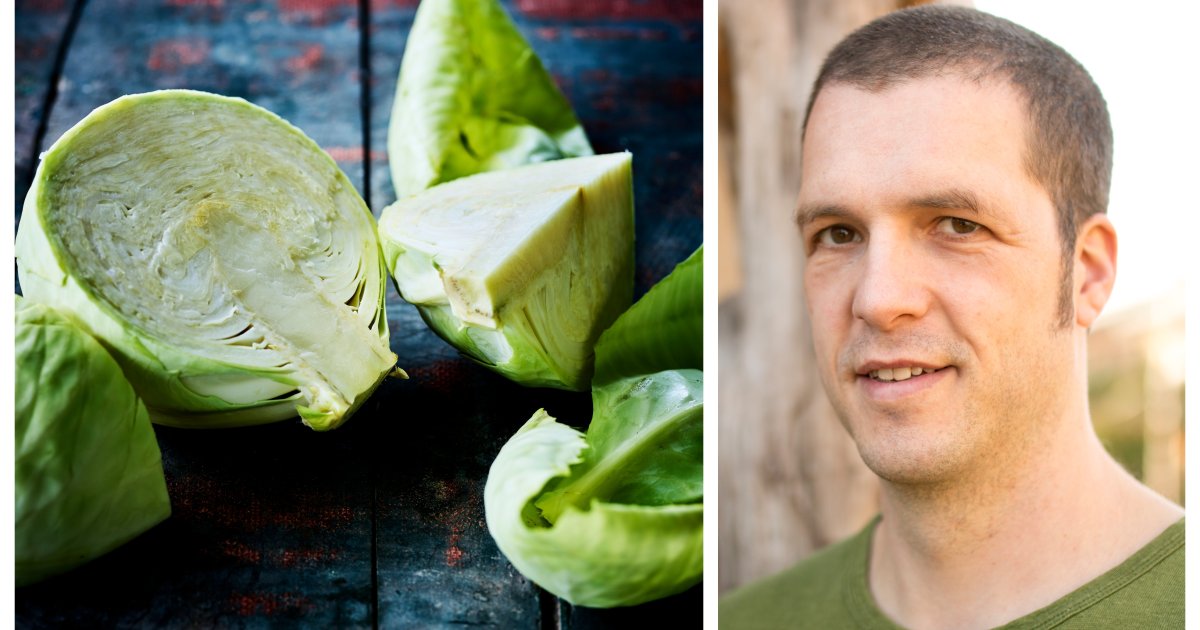 Zuurkool op Sams wijze | Velt