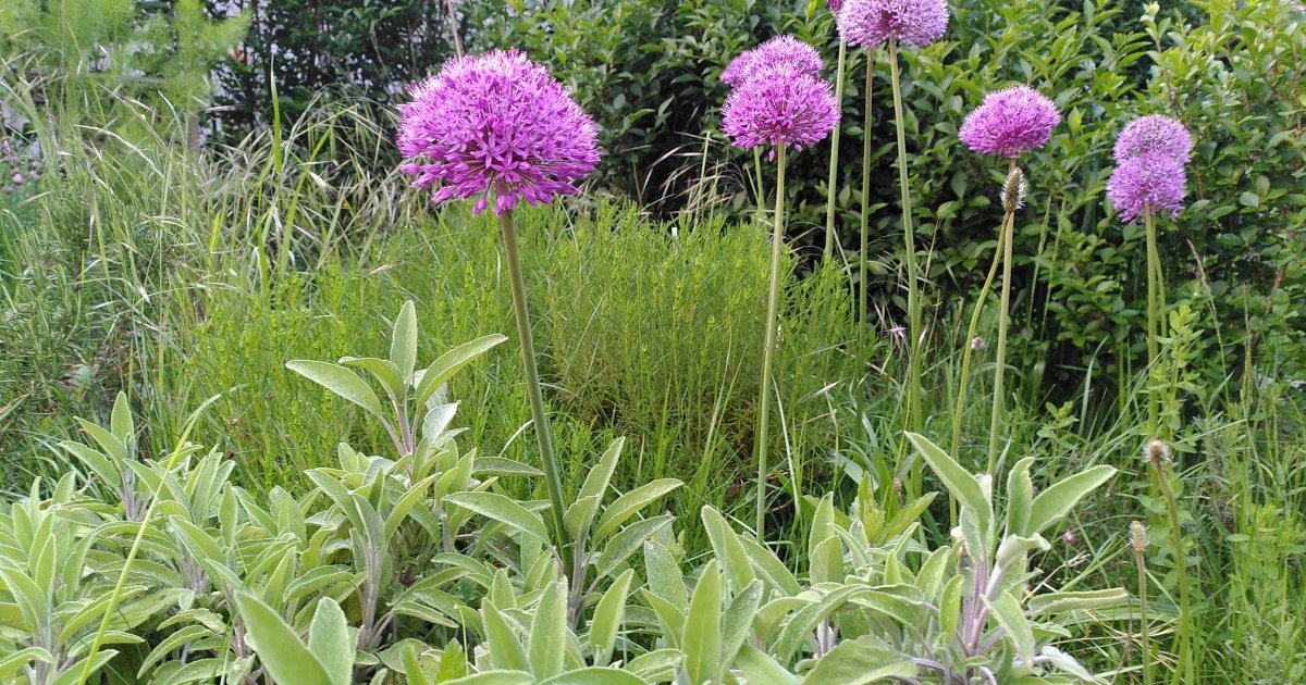 Download gratis de tips van Velt | Velt