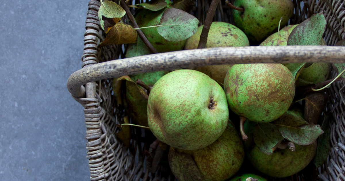 Alles wat je moet weten over de stoofpeer | Velt