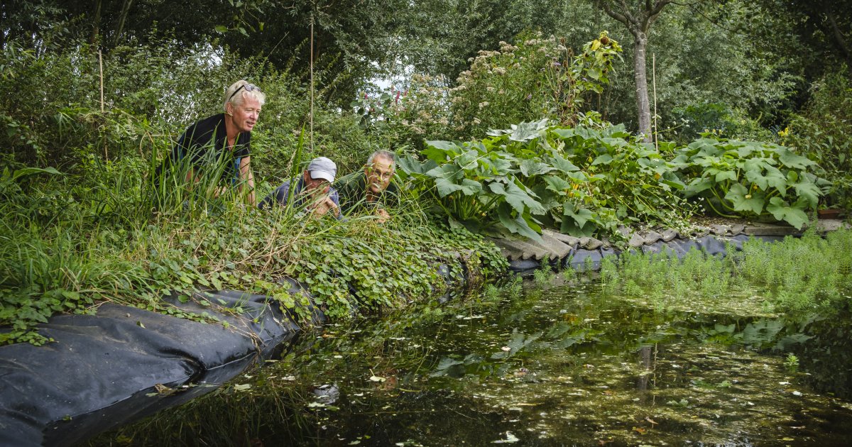 Watercoalitie lanceert memorandum: 'Want zonder water, geen later' | Velt