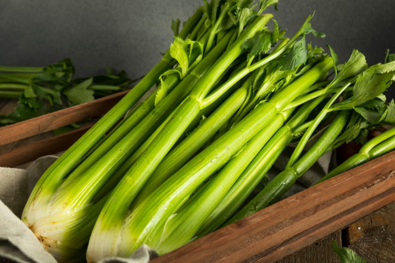 Groene selderij | Velt