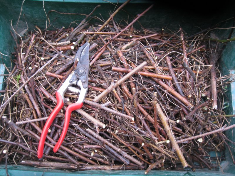 Stappenplan om zelf te leren composteren | Velt