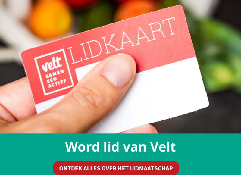 Voordelen voor leden van Velt | Velt